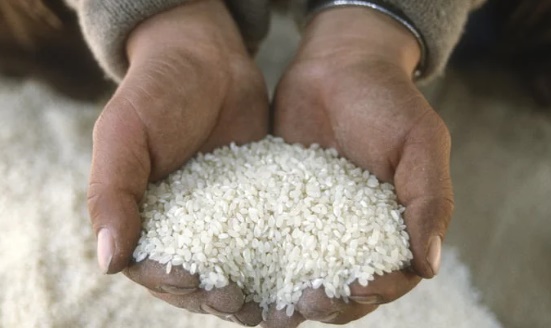 Pode comer arroz todo dia? Saiba impactos do alimento no corpo – As ...